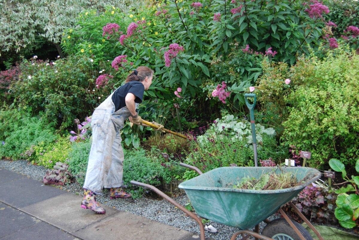 Heritage Group Seeks Four Passionate Culture Mulchers! | Kitchen Garden ...