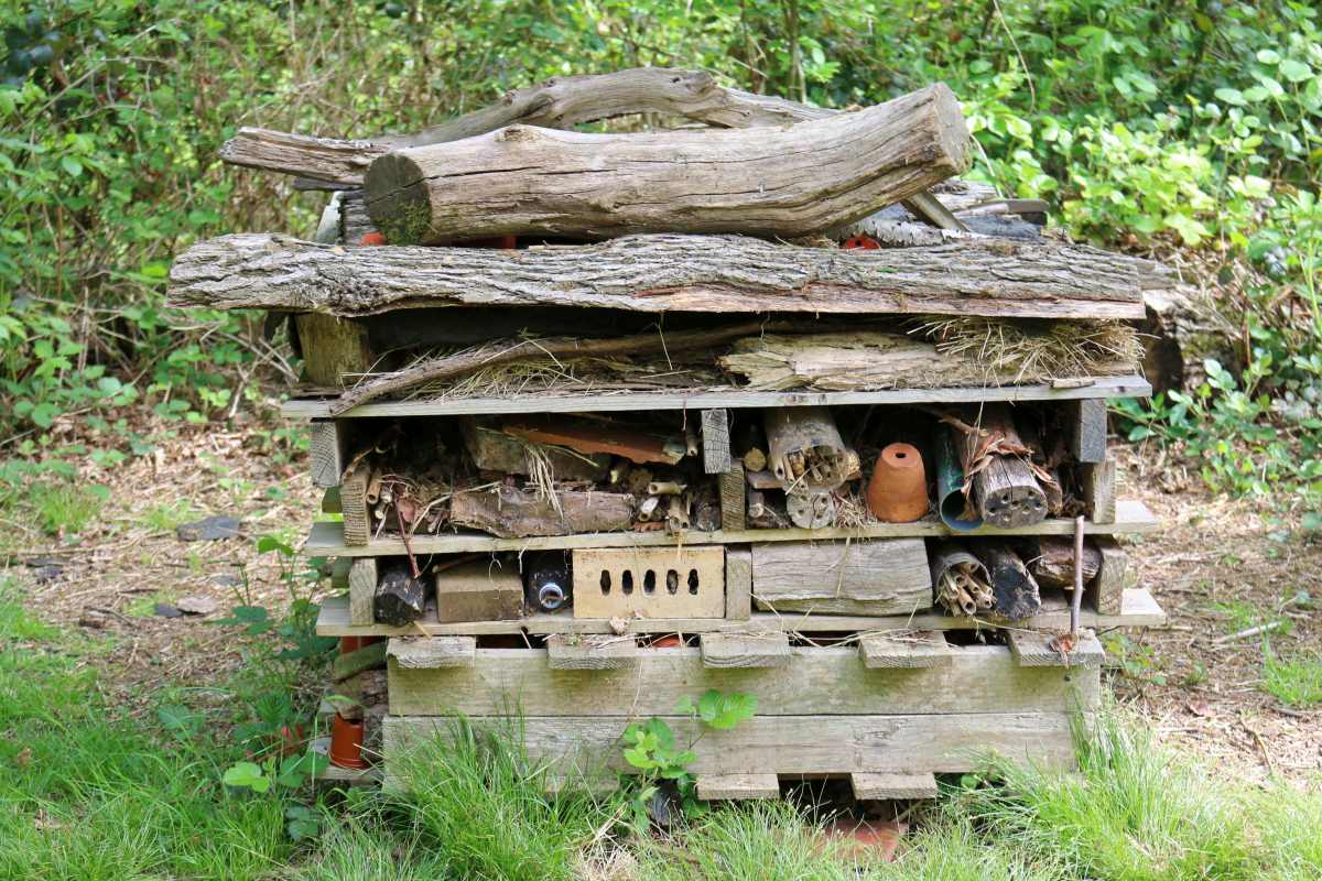 make a home for wildlife this winter | Kitchen Garden Magazine
